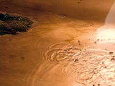 The comeback of copper and limescale edging | STYLEPARK