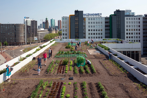 Revitalization at the touch of a switch | STYLEPARK