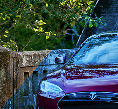 Butterfly collectors drive longer | STYLEPARK