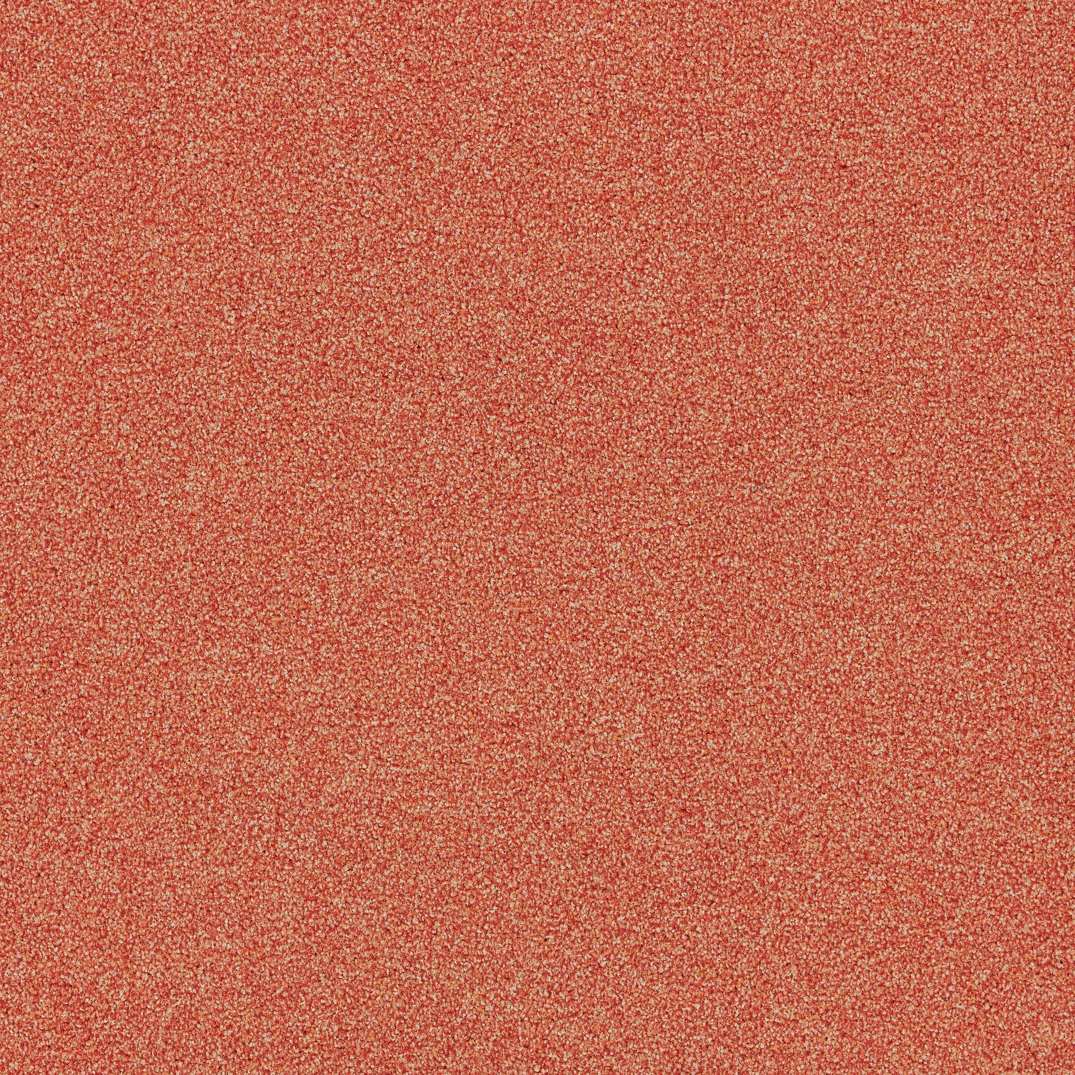 Polichrome Stripple by Interface | STYLEPARK