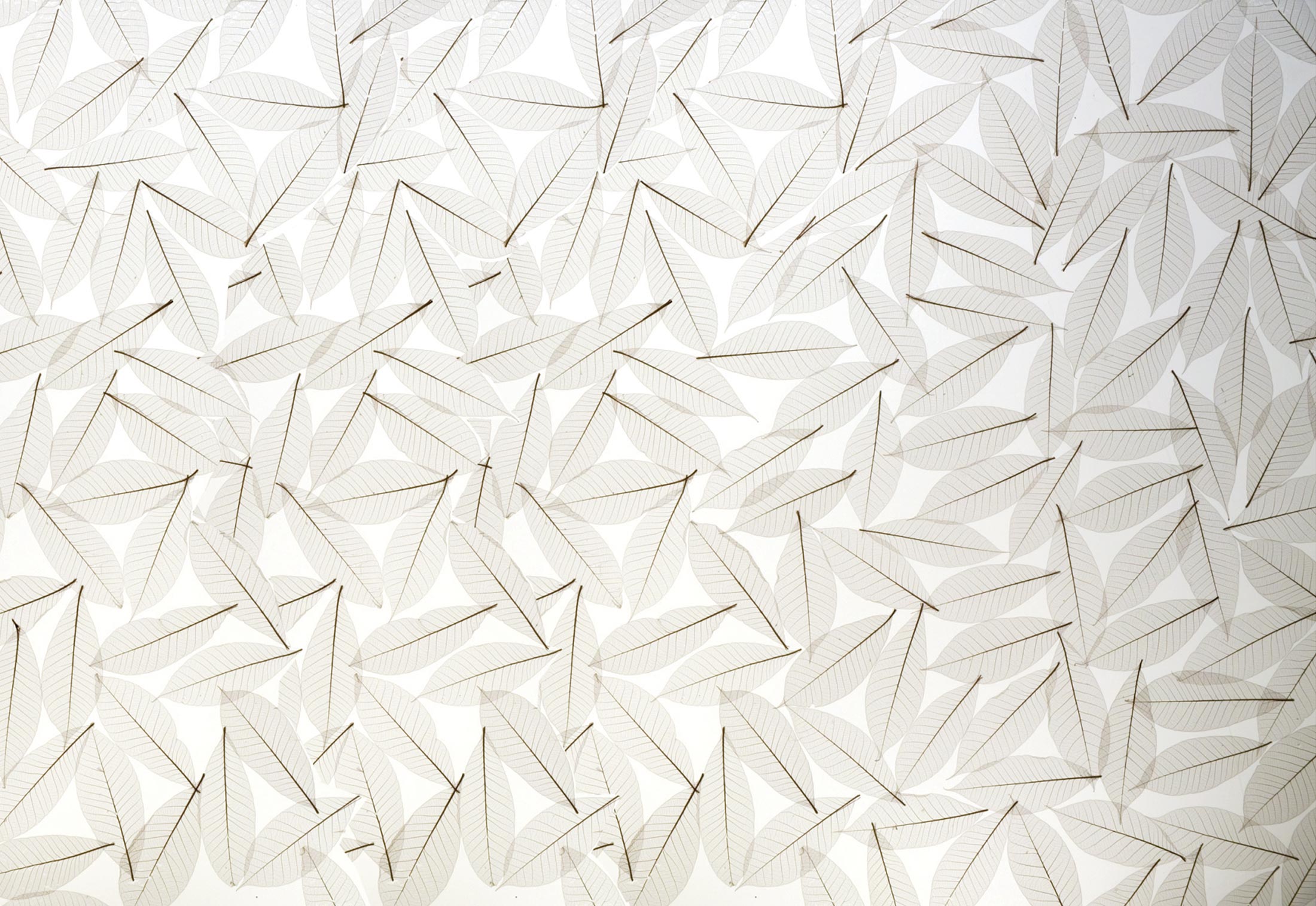 Fossil Leaf by 3form | STYLEPARK