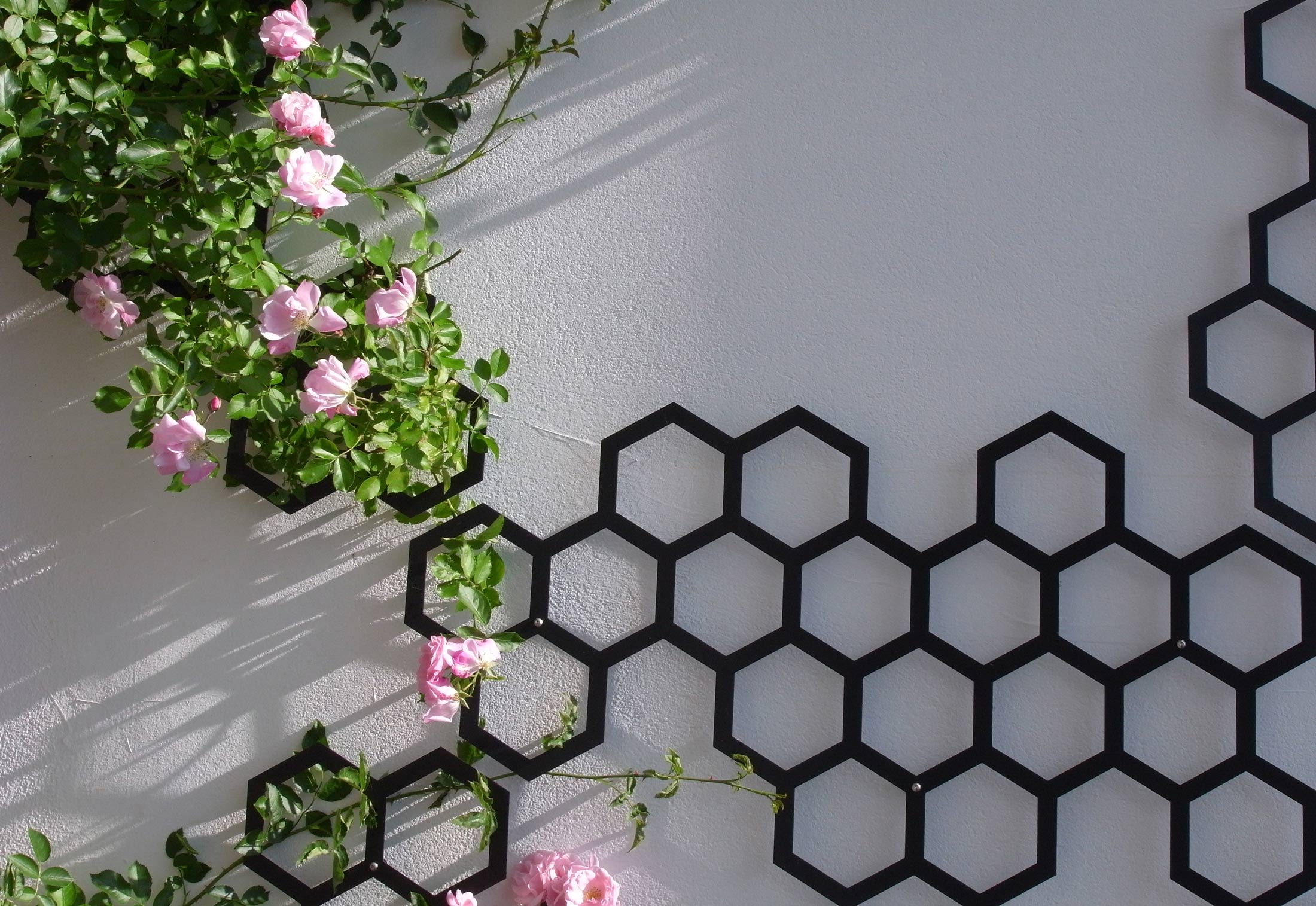 Comb_ination wall cordon by FLORA | STYLEPARK