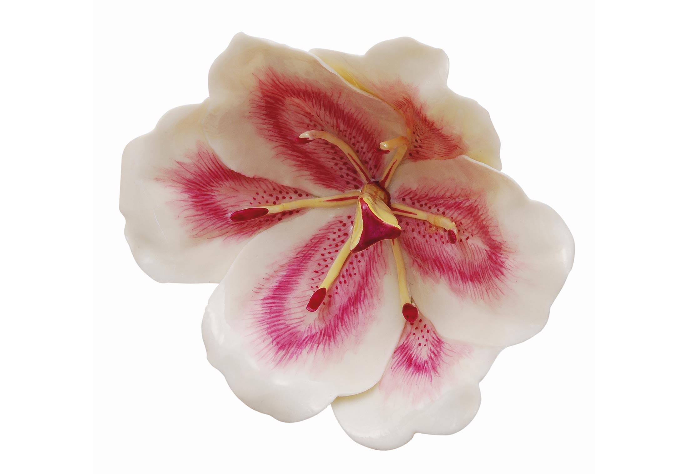 Magnolia by Porzellan-Manufaktur Nymphenburg | STYLEPARK