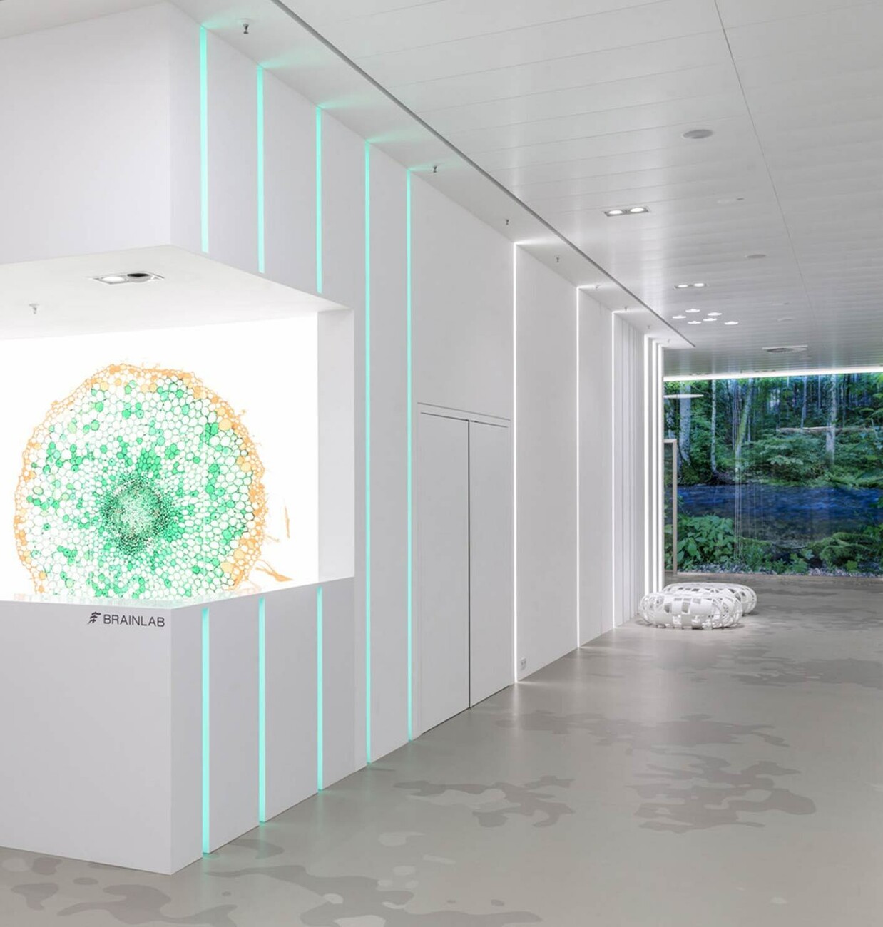 Expanded metal ceiling by Lindner Group | STYLEPARK