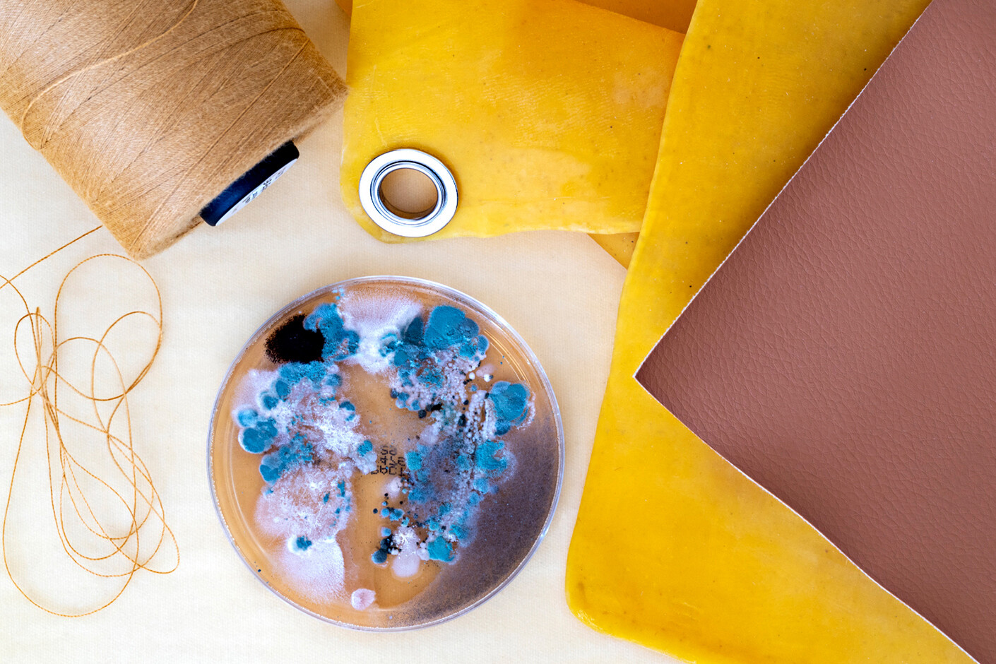 Ten creative minds and companies from the Heimtextil Trendspace | STYLEPARK