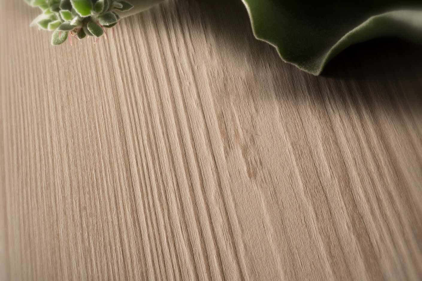 ESPERIA S135 by Cleaf | STYLEPARK