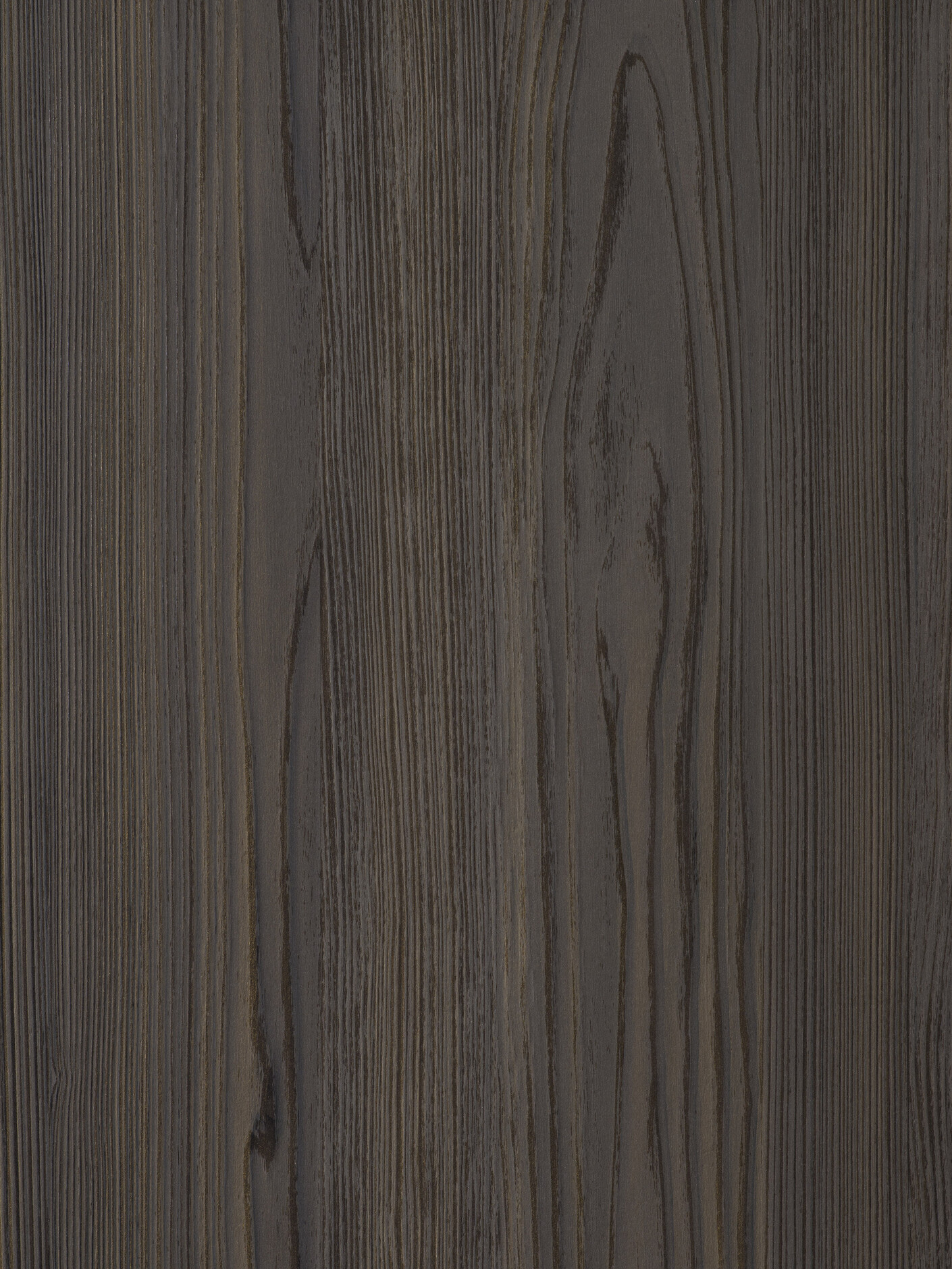 ESPERIA S133 by Cleaf | STYLEPARK