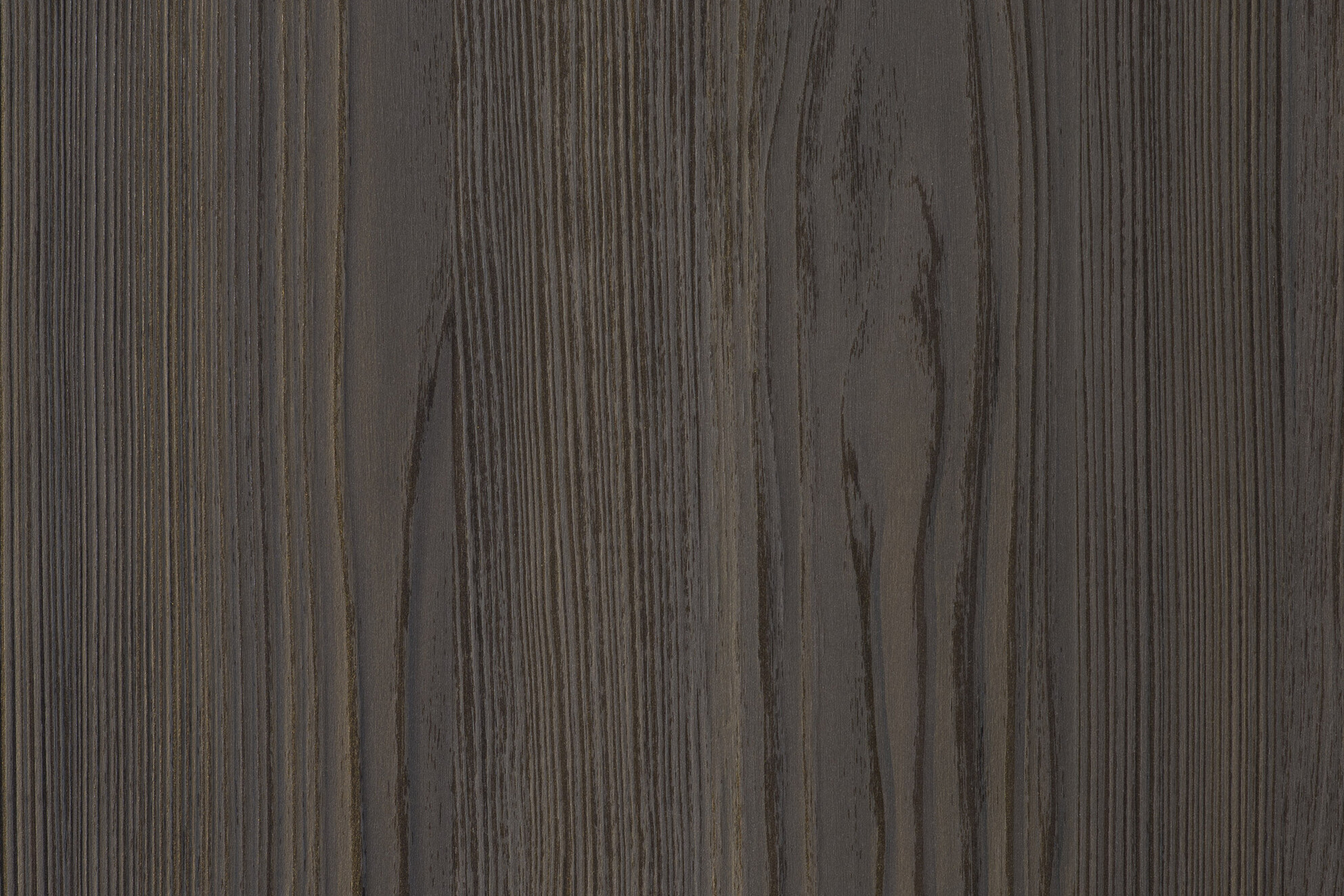 ESPERIA S133 by Cleaf | STYLEPARK