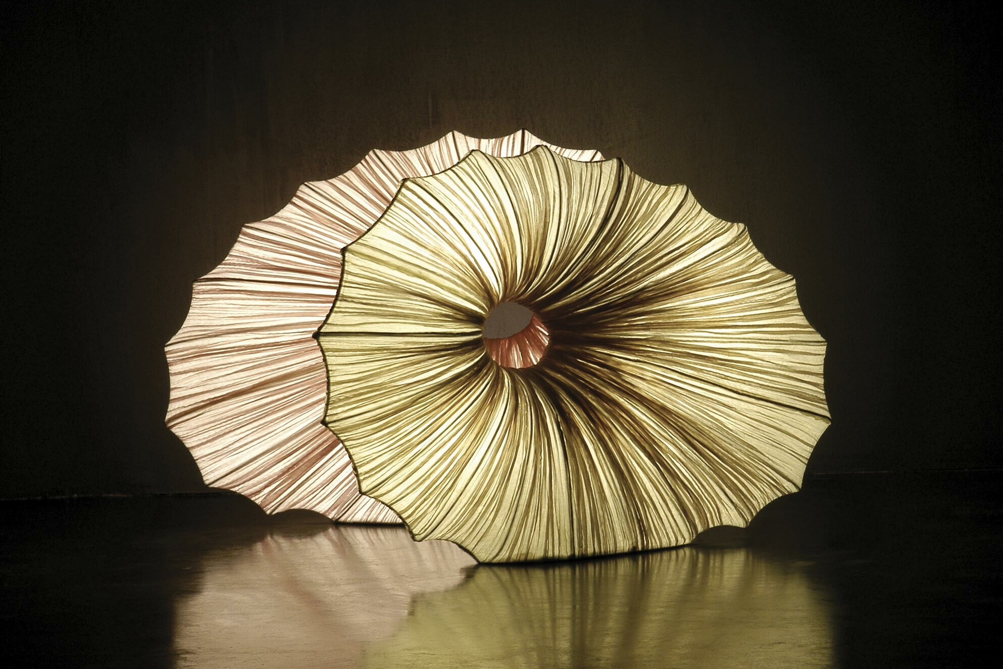 VIOLA by Aqua Creations | STYLEPARK