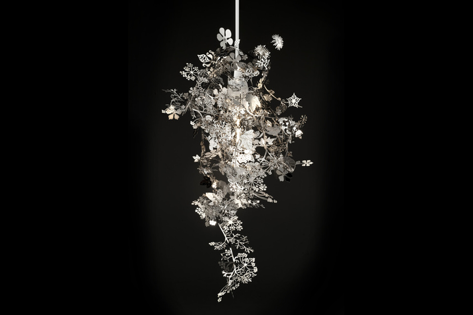 Tangle by Artecnica | STYLEPARK