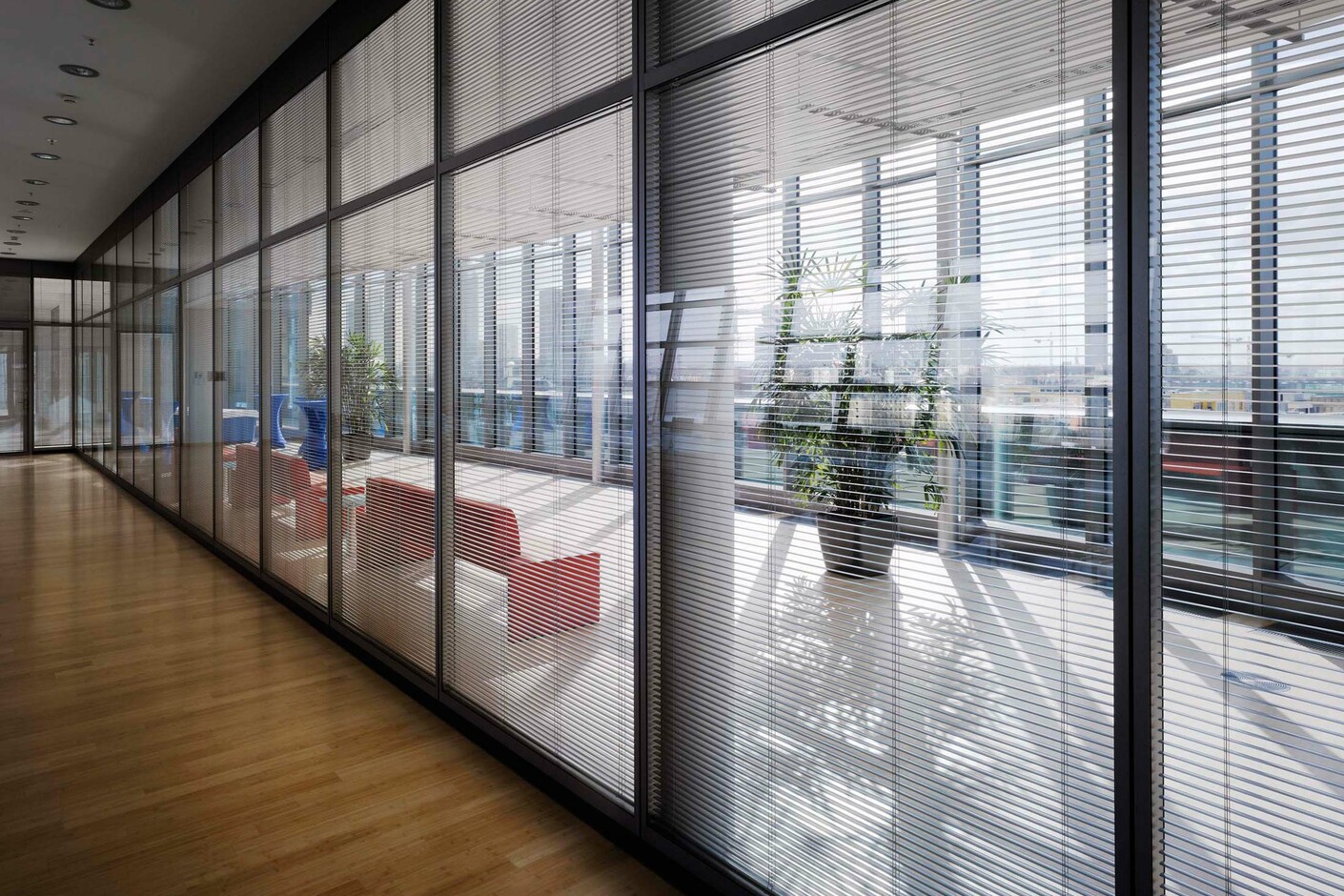 Clestra Synops von Clestra Hauserman | STYLEPARK