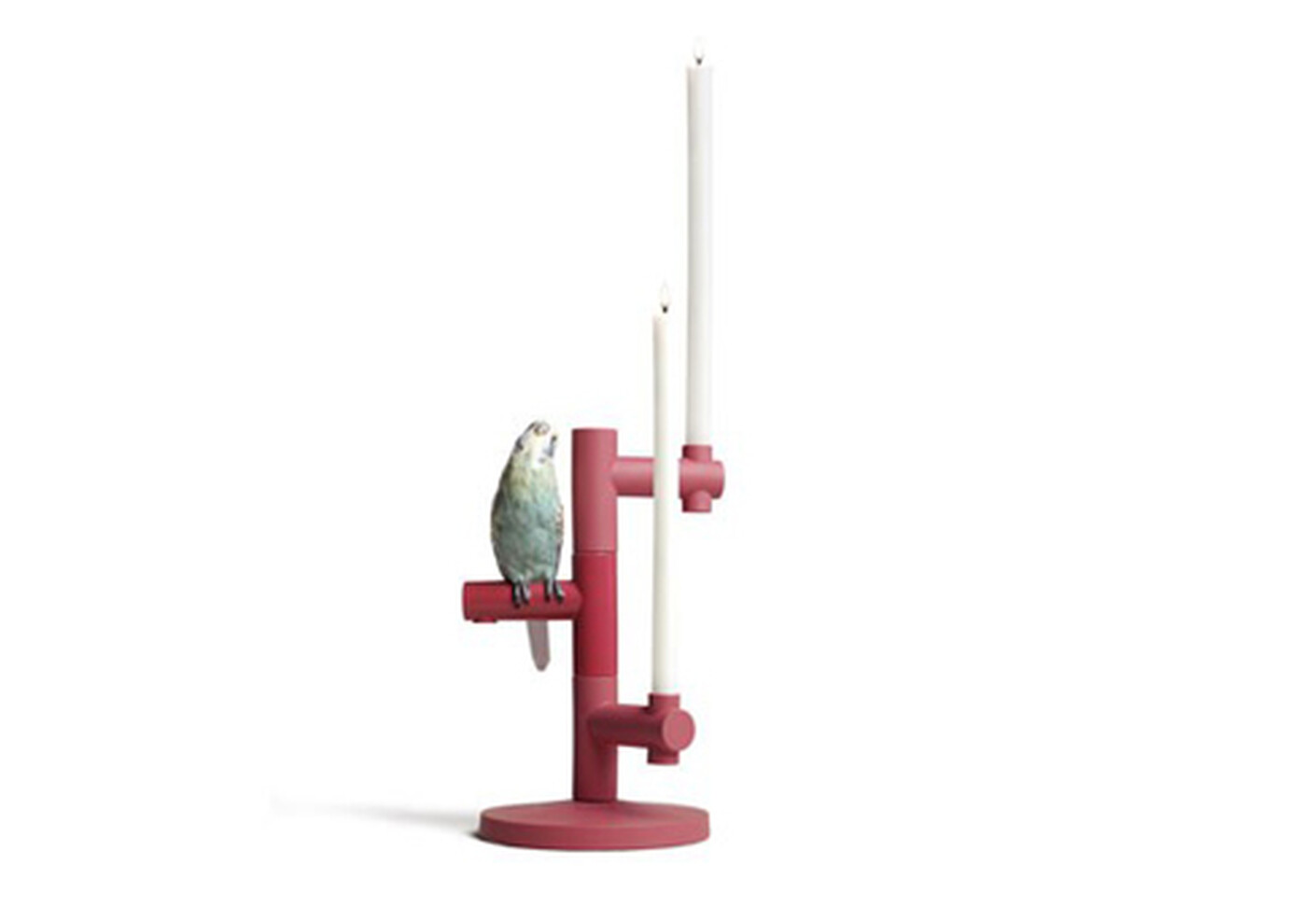 Parrot Star by Lladró | STYLEPARK