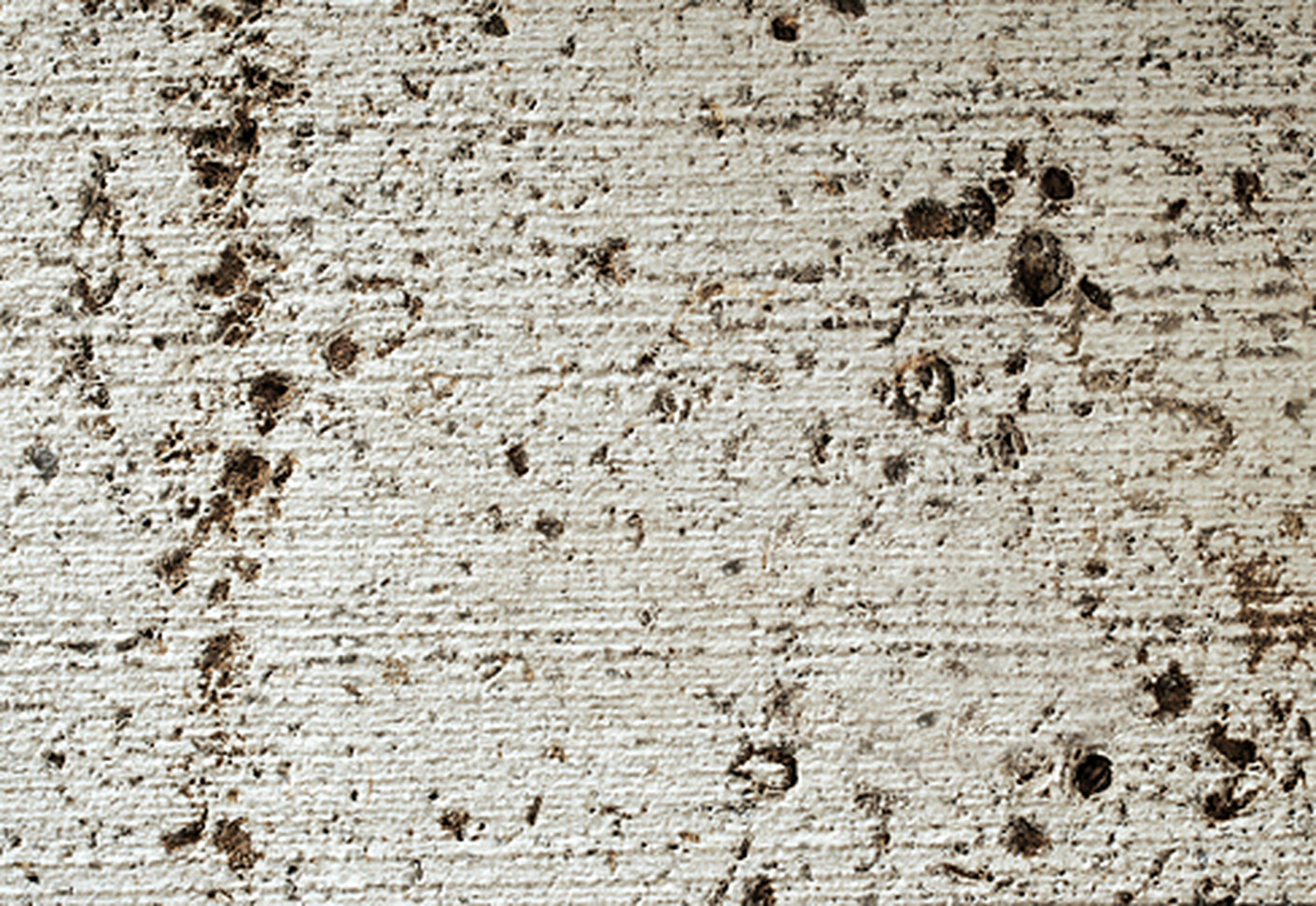Memphis Osiris shell limestone fluted by TRACO Manufactur | STYLEPARK
